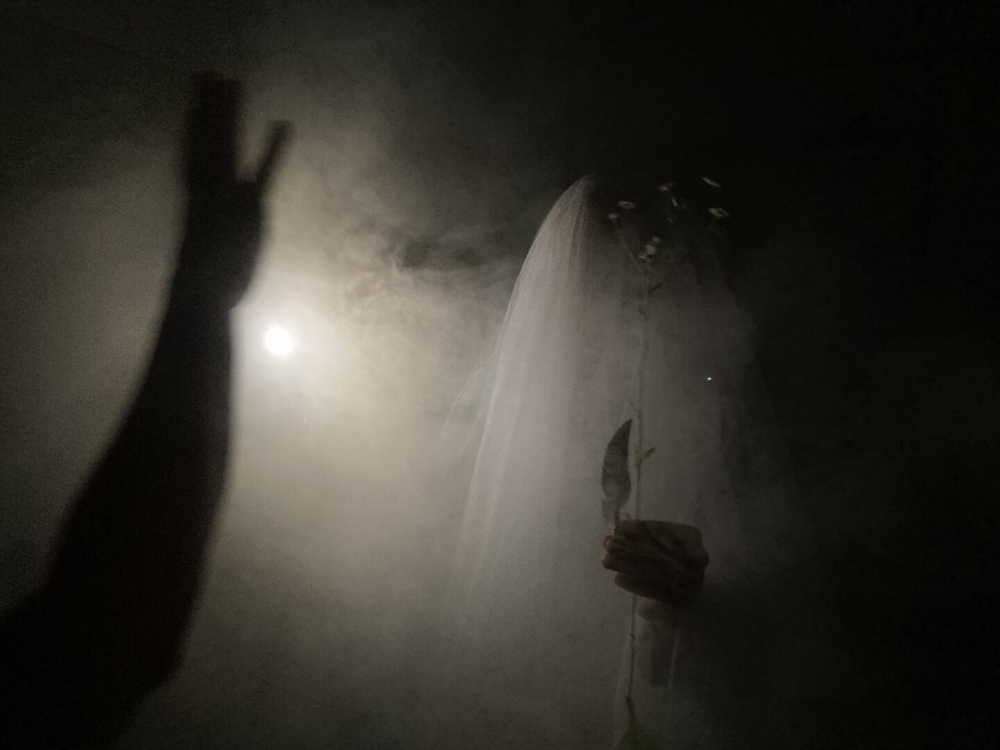 Projects Archive – Gob Squad